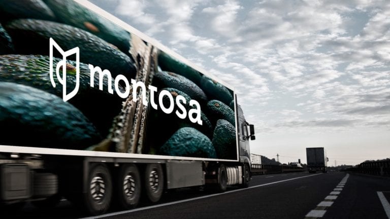 “En España aún hay muchas oportunidades de crecimiento” MONTOSA