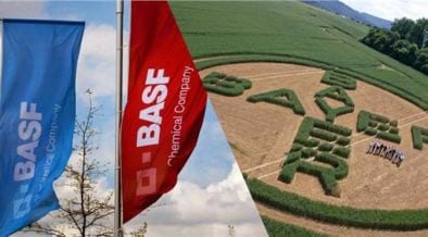 BASF compra Nunhems