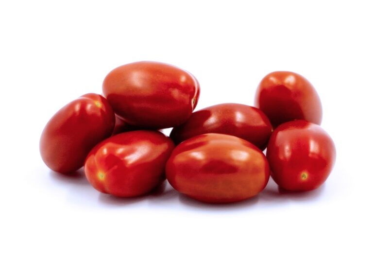 Novedades en su gama de tomate. YUKSEL SEEDS